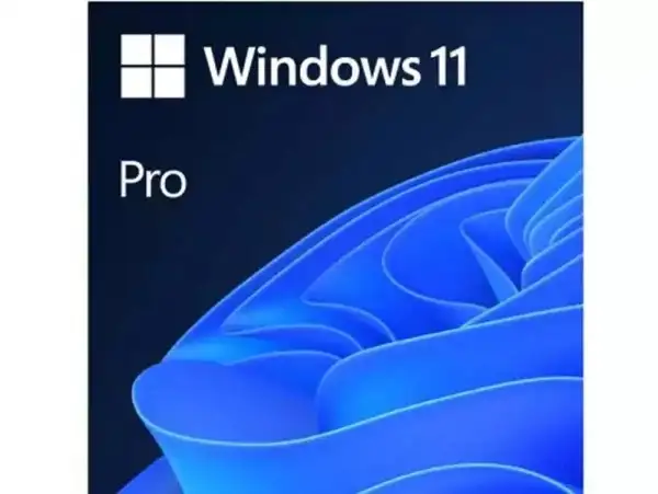 MICROSOFT Windows 11 Pro 64bit Eng Intl OEM DSP DVD FQC-10528 (24H2)