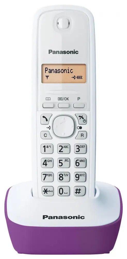 PANASONIC KX-TG1611FXF