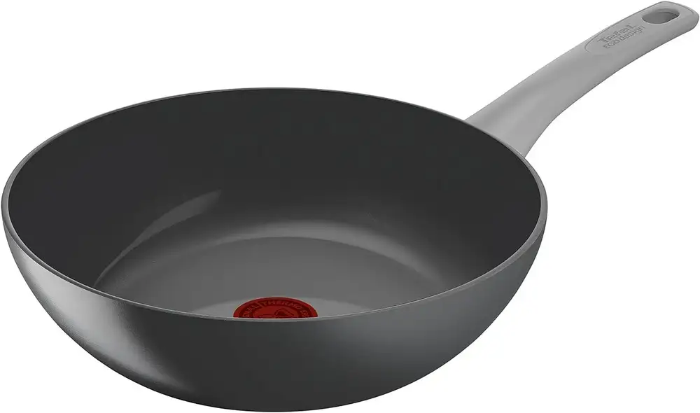 TEFAL C42719