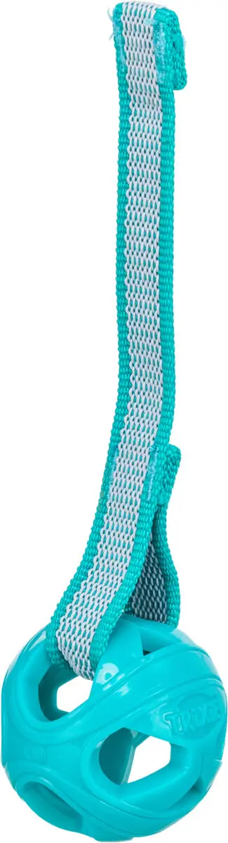 Igračka za pse Gumena lopta 6cm sa ručkom TRIXIE 33545