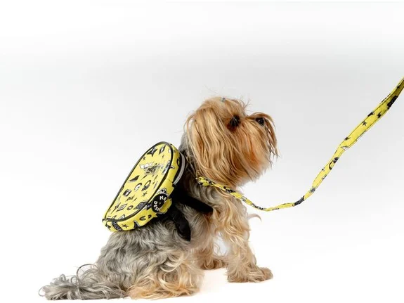 Dog Backpack Povodac sa rancem za pse