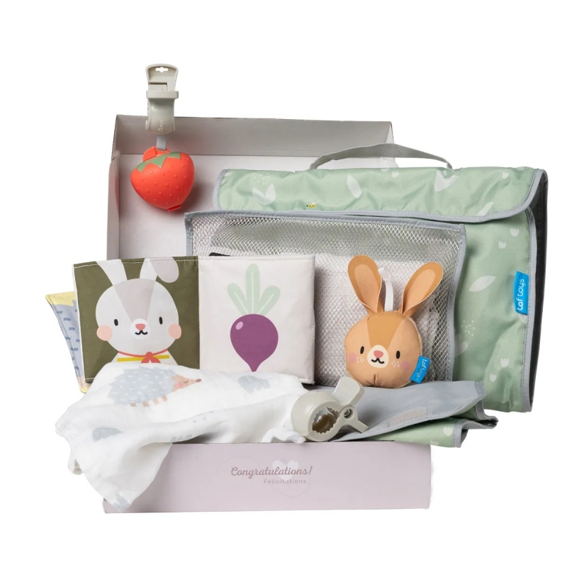 TAF TOYS OUTDOORS KIT SET IGRAČAKA I DODATAKA ZA KOLICA