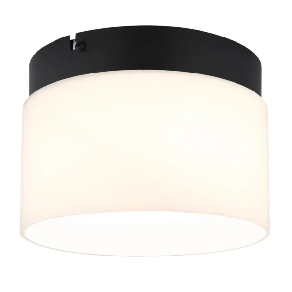 Globo Trenton 16052D | Plafonjera | crna | LED