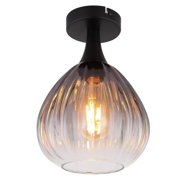 Globo Olsen 15887D | Plafonjera | crna | E27