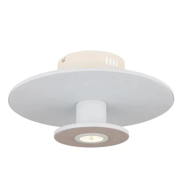 Globo Carter 15647WD | Plafonjera | bela | LED