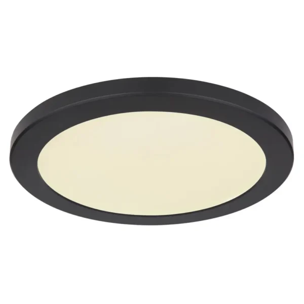 Globo Lasse 12379-24B | Plafonjera | crna | LED