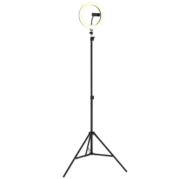 Globo Delgado 25897 | Podna lampa | crna | LED
