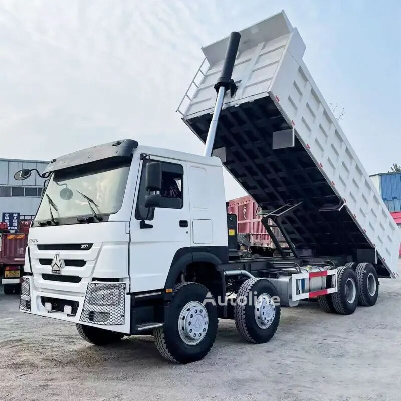 Novi Howo WD615.47 ,water-cooled，four strokes，6 cylinders in line with wat kiper