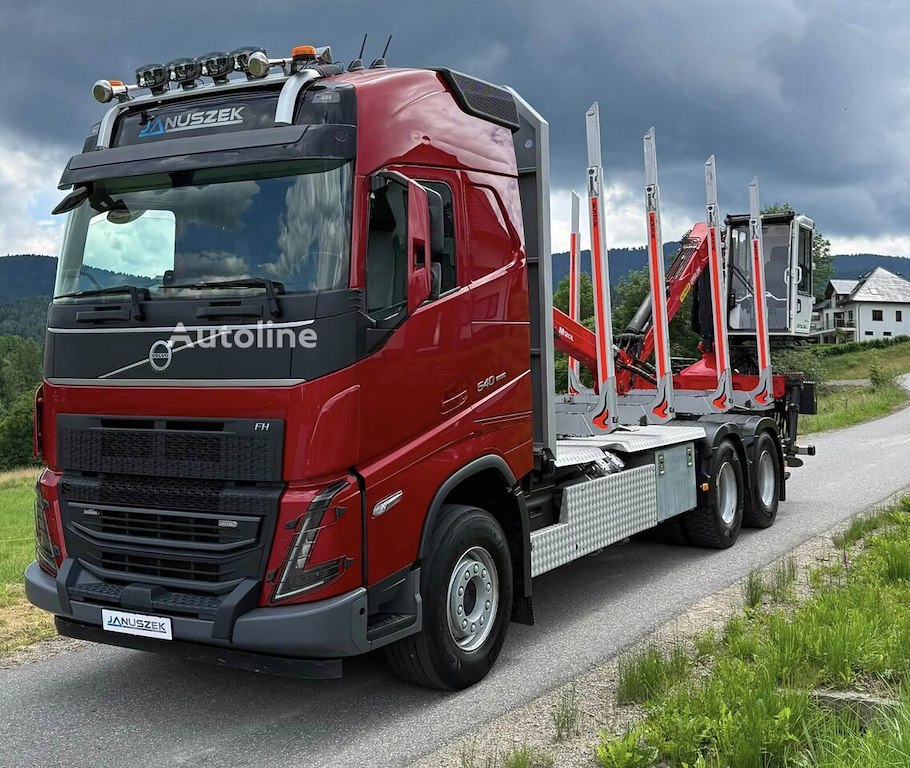 Volvo Volvo FH 540 kamion za prevoz drva