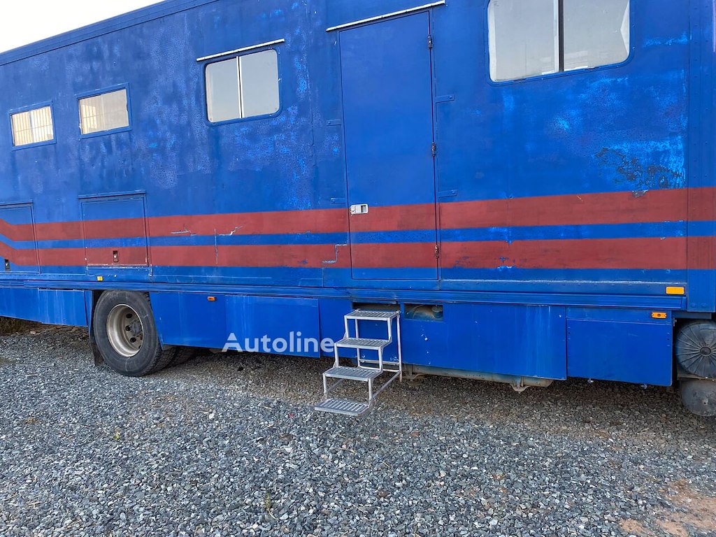 DAF Ati 310 kamion za prevoz konja