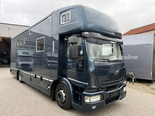 IVECO 15-280 kamion za prevoz konja