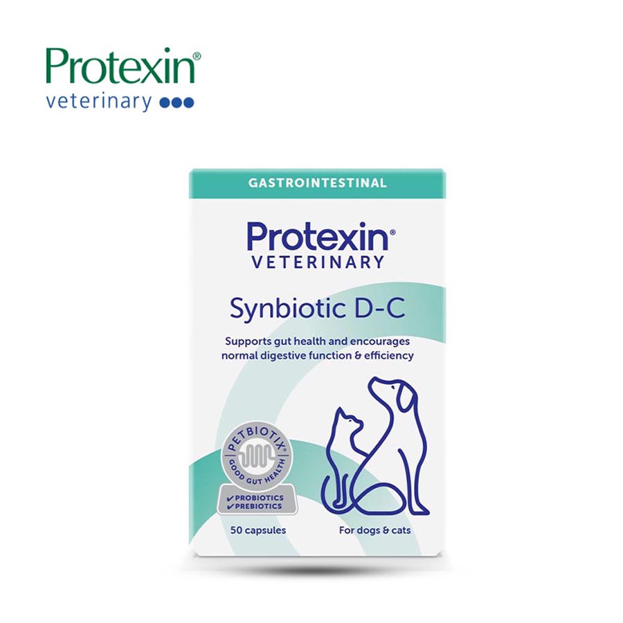 Synbiotic D-C Probiotik za Pse i Macke - 50 kapsula