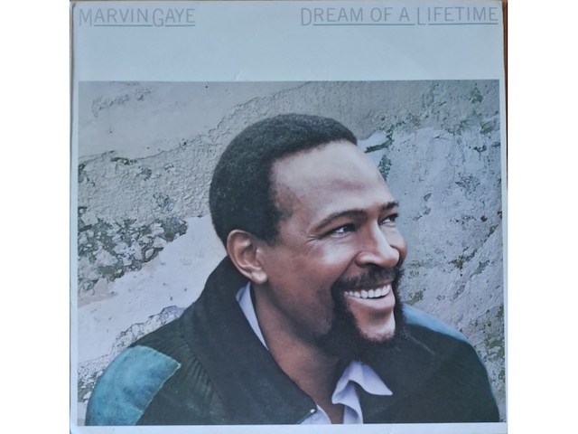 Marvin Gaye Dream Of A Lifetime