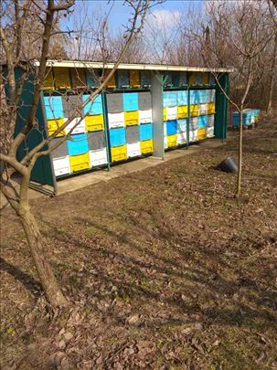 Prodajem pcele na ramovima AZ grom