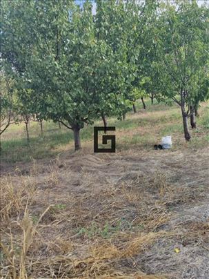 Ostružnica – Plac 70,87 ari ID#2777