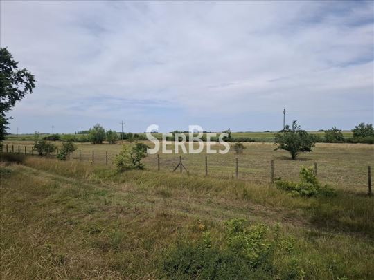 Poljoprivredno zemljište 16197 m², u blizini aerod