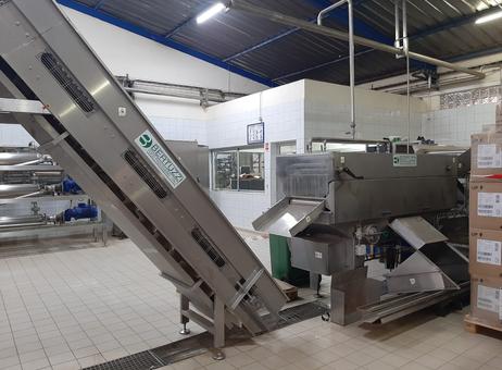 POROŠENA BERTUCI POROŠICA MANGO PRERADNA POGON GODINA 2022 KAPACITET 5.000 kg/h