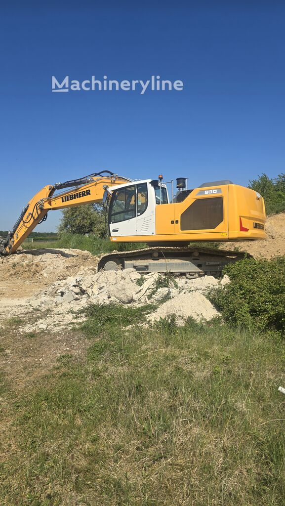 Liebherr R930 bager guseničar