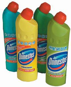 Domestos WC sanitar