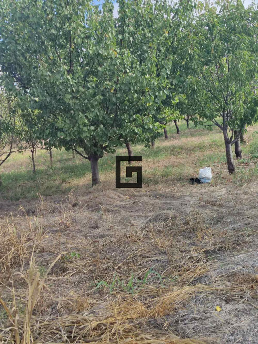 Ostružnica – Plac 70,87 ari ID#2777
75.000 €