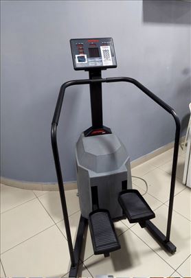 Life fitness steper
