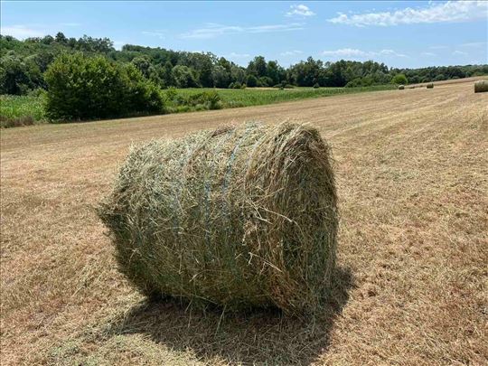 Seno Lucerka u rolo balama