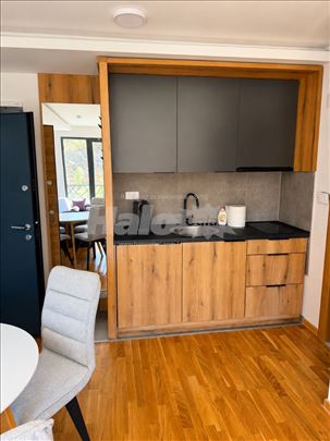 Kopaonik, vrh Treske namesten apartman