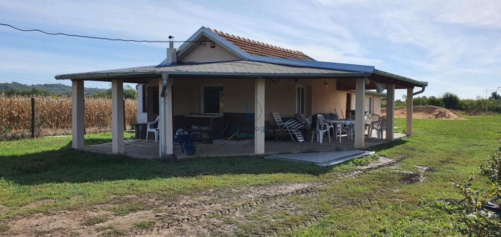 Obrenovac, plantaža borovnica, 5,2 ha i kuća 30m2 + terasa