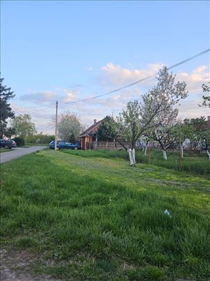Dve kuće sa garažom na 16 ari placa, Dobanovci
