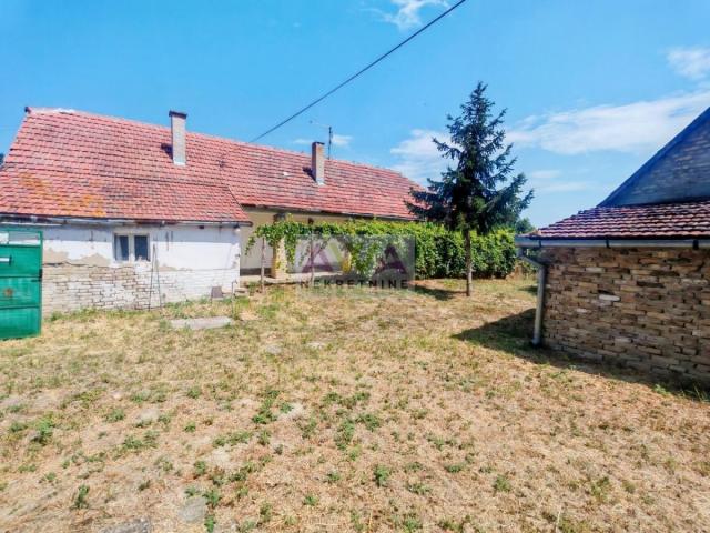 Bezdan – Malo imanje sa 7.630 m² placa, 28.000€