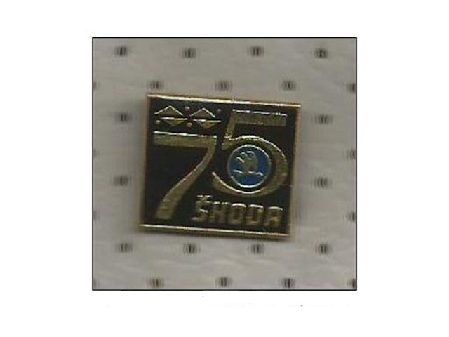 c4 SKODA