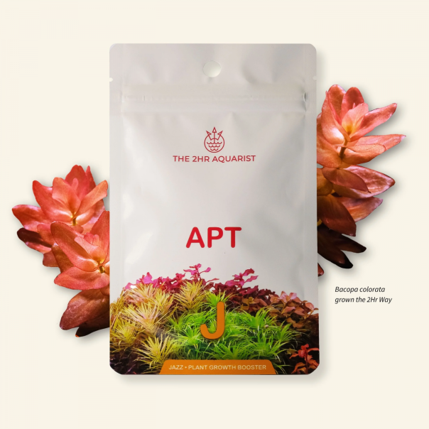 Nanobit 2Hr Aquarist APT Jazz - Small 18 caps