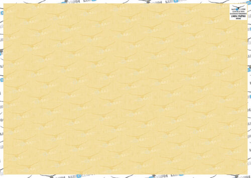 NEW! Lukgraph DEC002 A4 Sheet Clear Decal - Linen