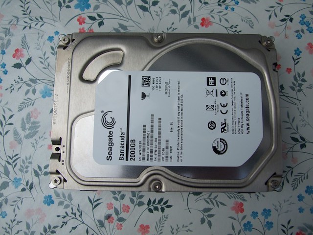 Seagate ST2000DM001 2 TB