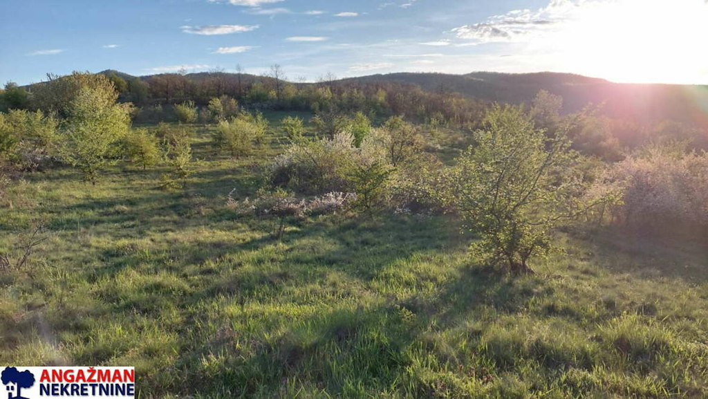 Plac, Zaječar – Lasovo | Prodaja · 28452m² · 5.690€