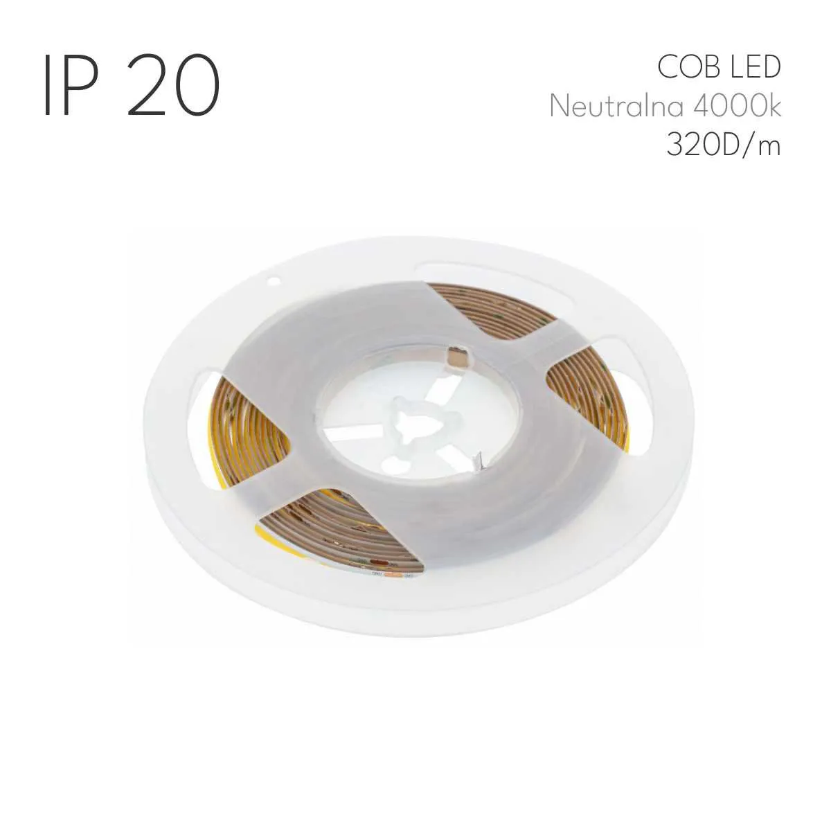 RAS led tr COB NW IP20 GTV