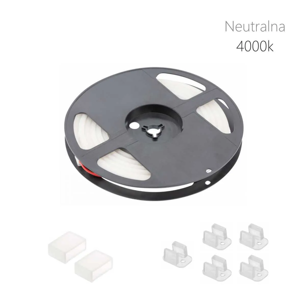 RAS led tr NEON NW 5m GTV