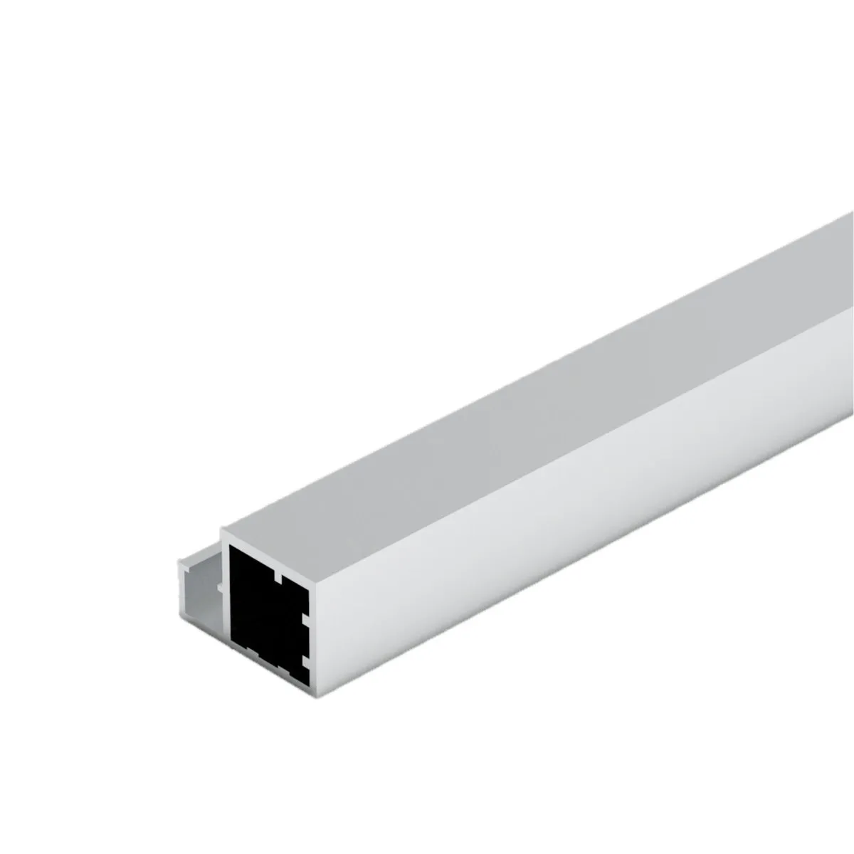 RAM 1010 profil AL SM