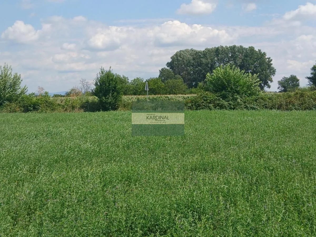 Prodaja, plac, 7500m², Novo Lanište, Jagodina