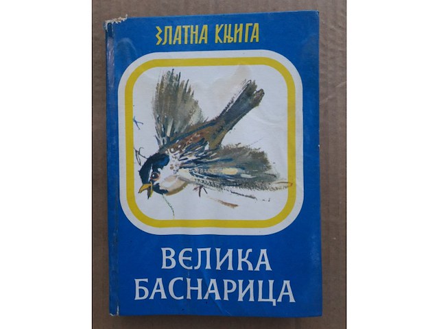 VELIKA BASNARICA