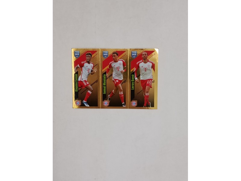 FIFA 365 STICKER COLLECTION 2024. 241 a-b-c
