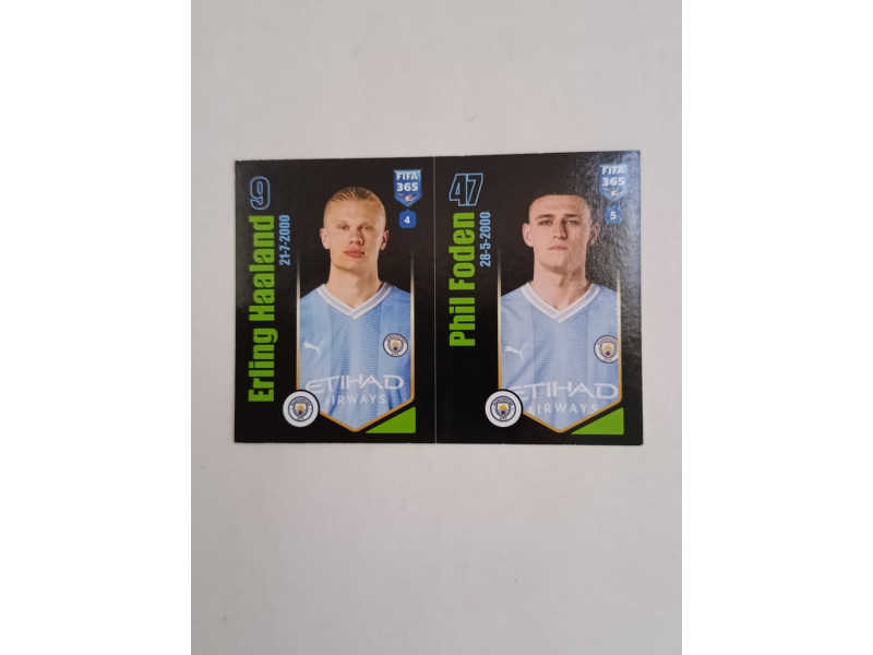 FIFA 365 2024 99a-b
