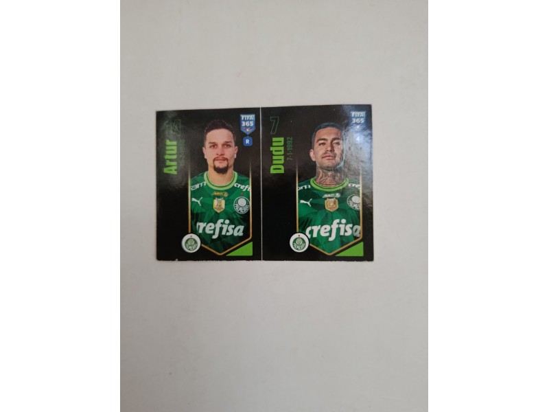 FIFA 365 2024 48a-b