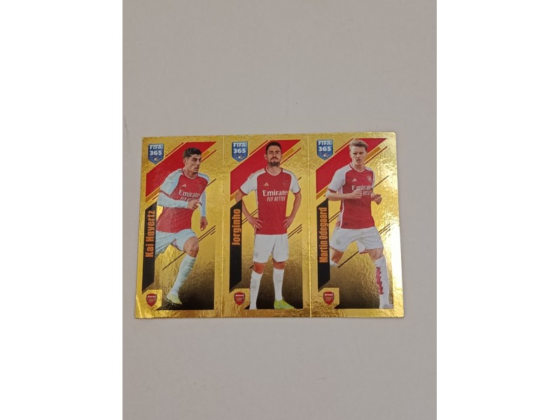 FIFA 365 STICKER COLLECTION 2024. 59 a-b-c