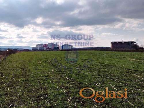 Top lokacija, asfalt i infrastruktura, Mišeluk 567m2