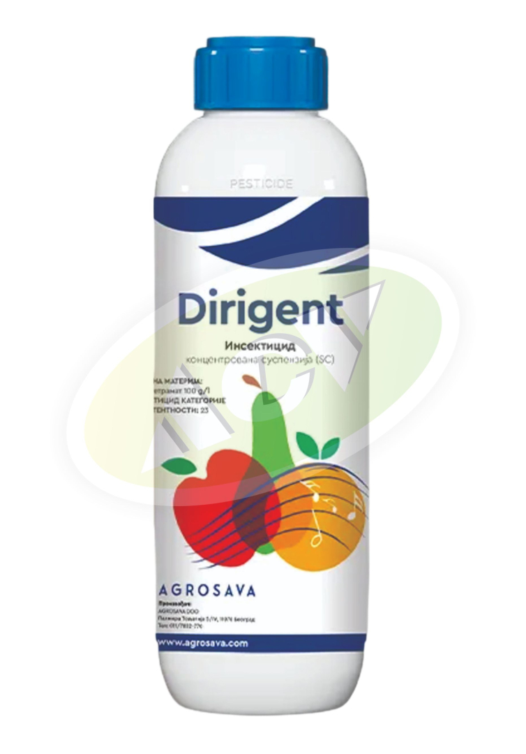 DIRIGENT 1|1