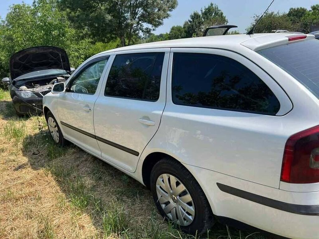 AUSPUH ZA ŠKODA OCTAVIA OD 2004. DO 2009. GOD. | Auspuh za Škoda