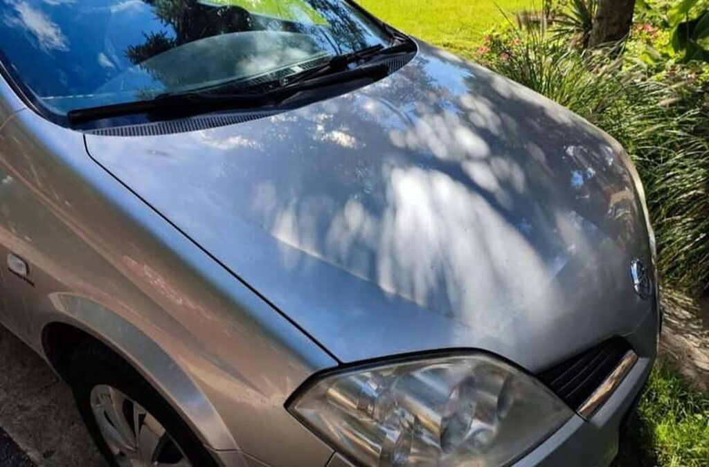 HAUBA ZA NISSAN PRIMERA | Nissan primera p12 hauba