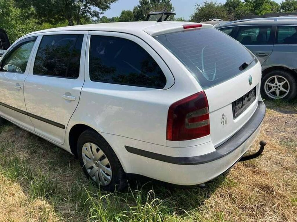 OPRUGE ZA ŠKODA OCTAVIA OD 2004. DO 2009. GOD. | Opruge za Škoda