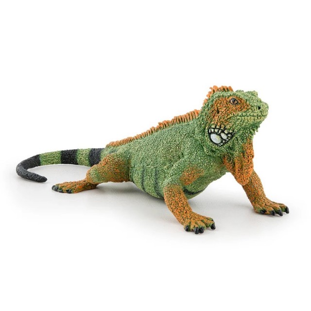 PAPO IGUANA